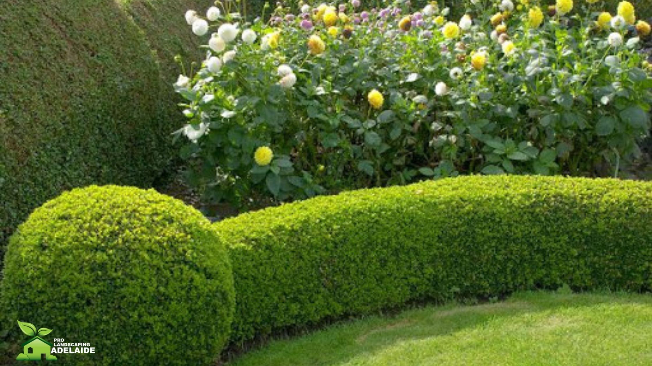 Adelaide Landscapers | Landscaper Adelaide | Pro Landscaping Adelaide