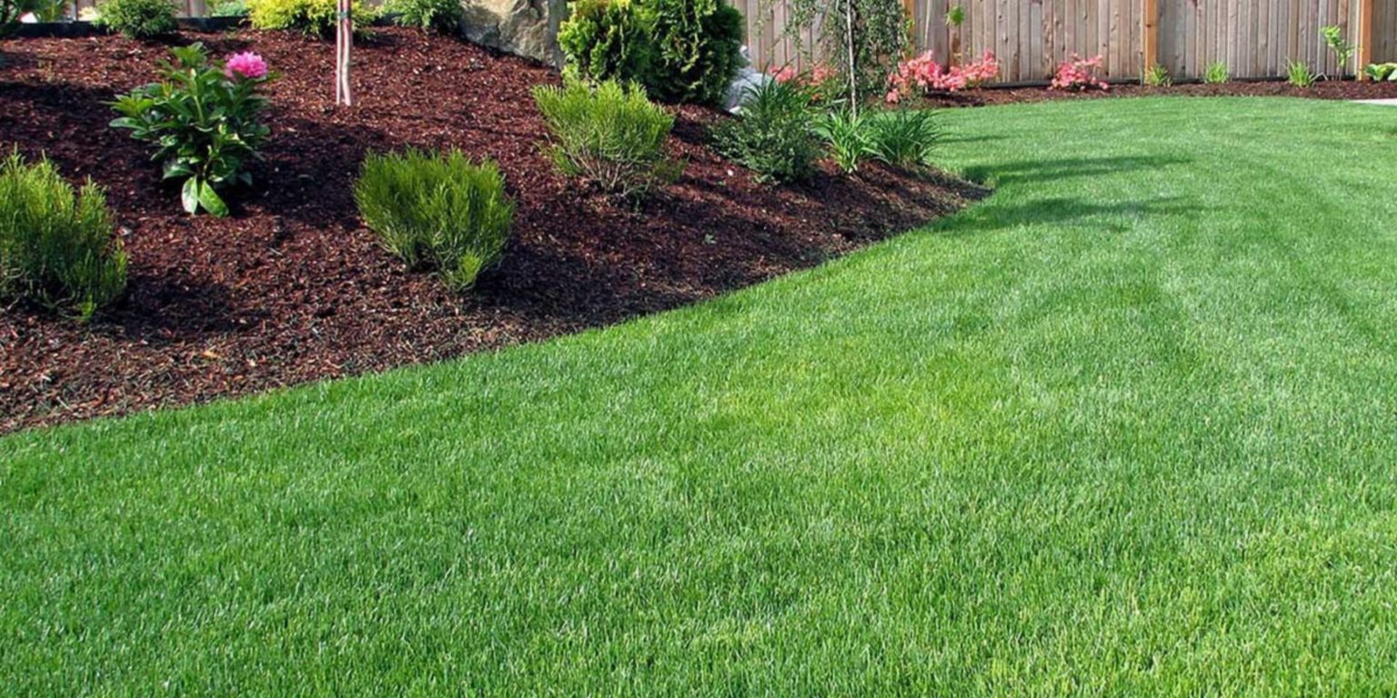 Landscaper Adelaide | Landscaping Services | Pro Landscaping Adelaide